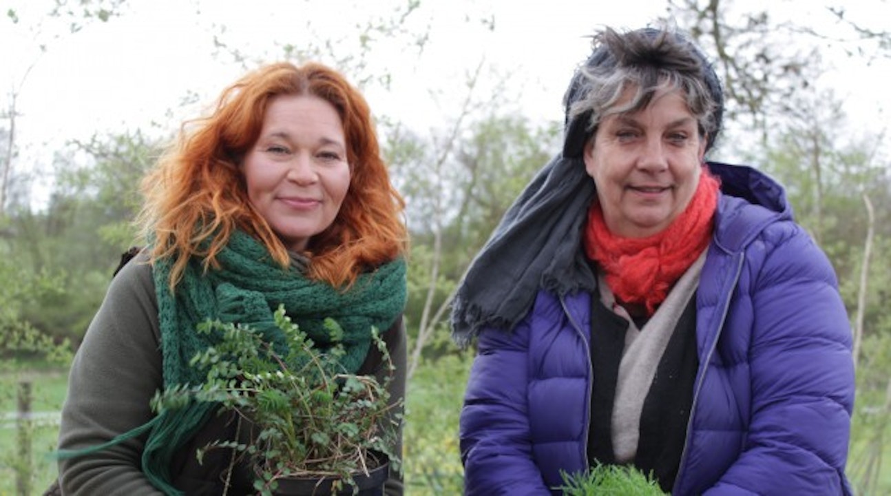 I haven med Anja | Se afsnittet her | TV 2 Play