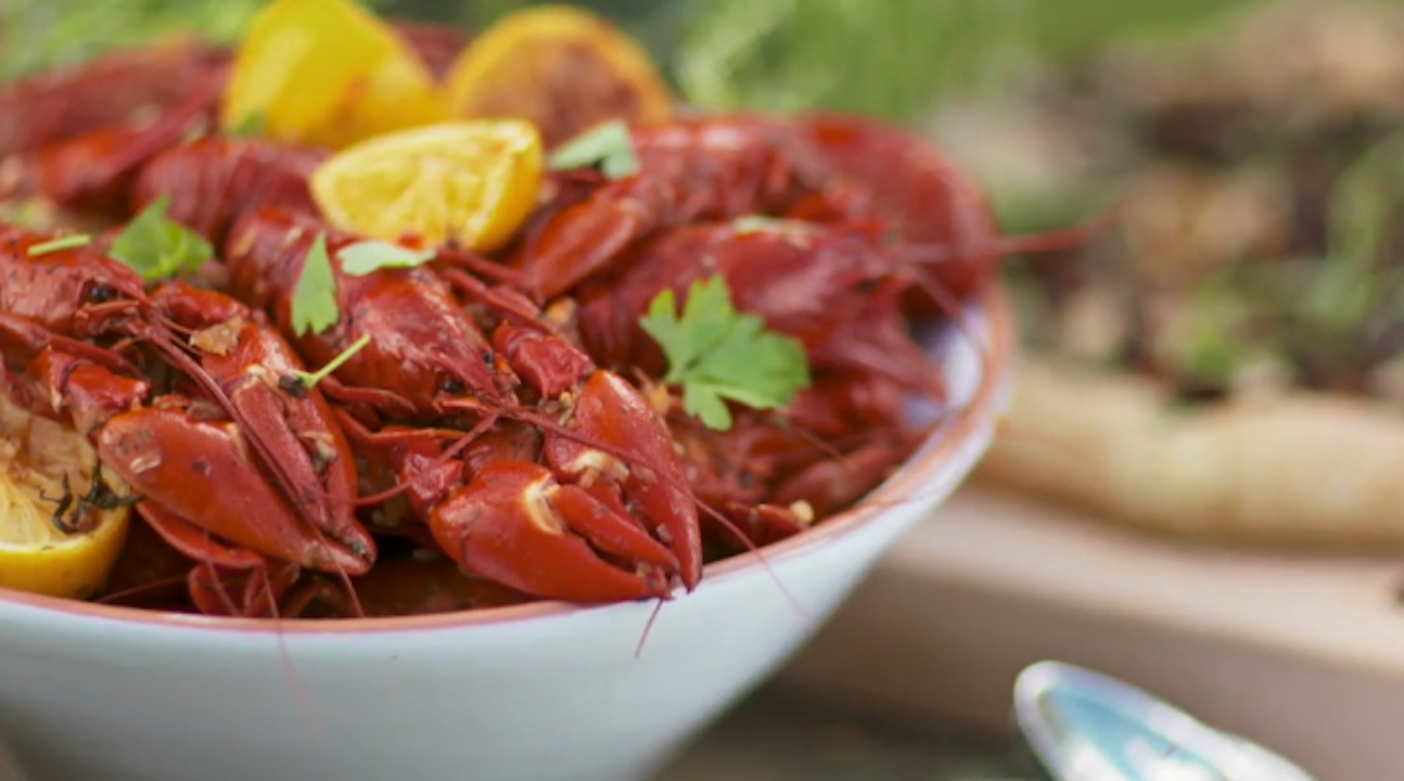 Sommer med Ernst | Se afsnittet her | TV 2 Play