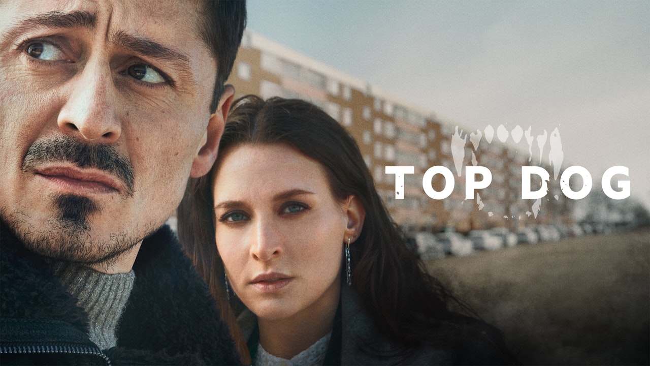 Top Dog | Se med C More her | TV 2 Play