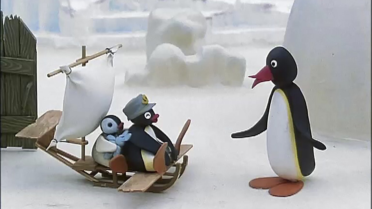 Pingu | Se afsnittet her | TV 2 Play