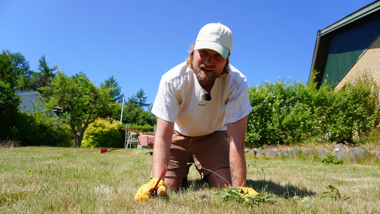 Kondrup Ka’ Os’ | Se afsnittet her | TV 2 Play