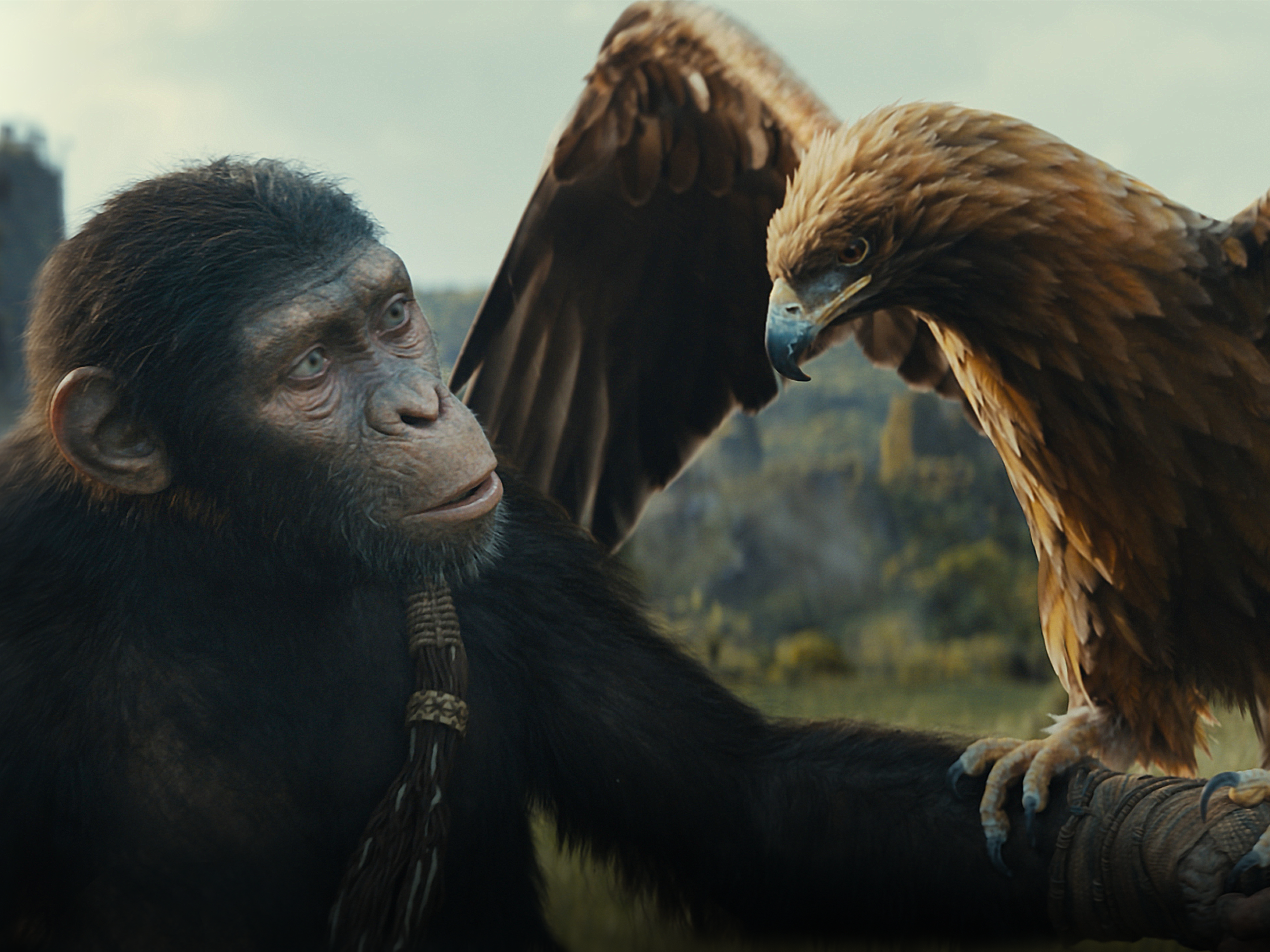 Kingdom of the Planet of the Apes | Se på Disney+ med TV 2 Play