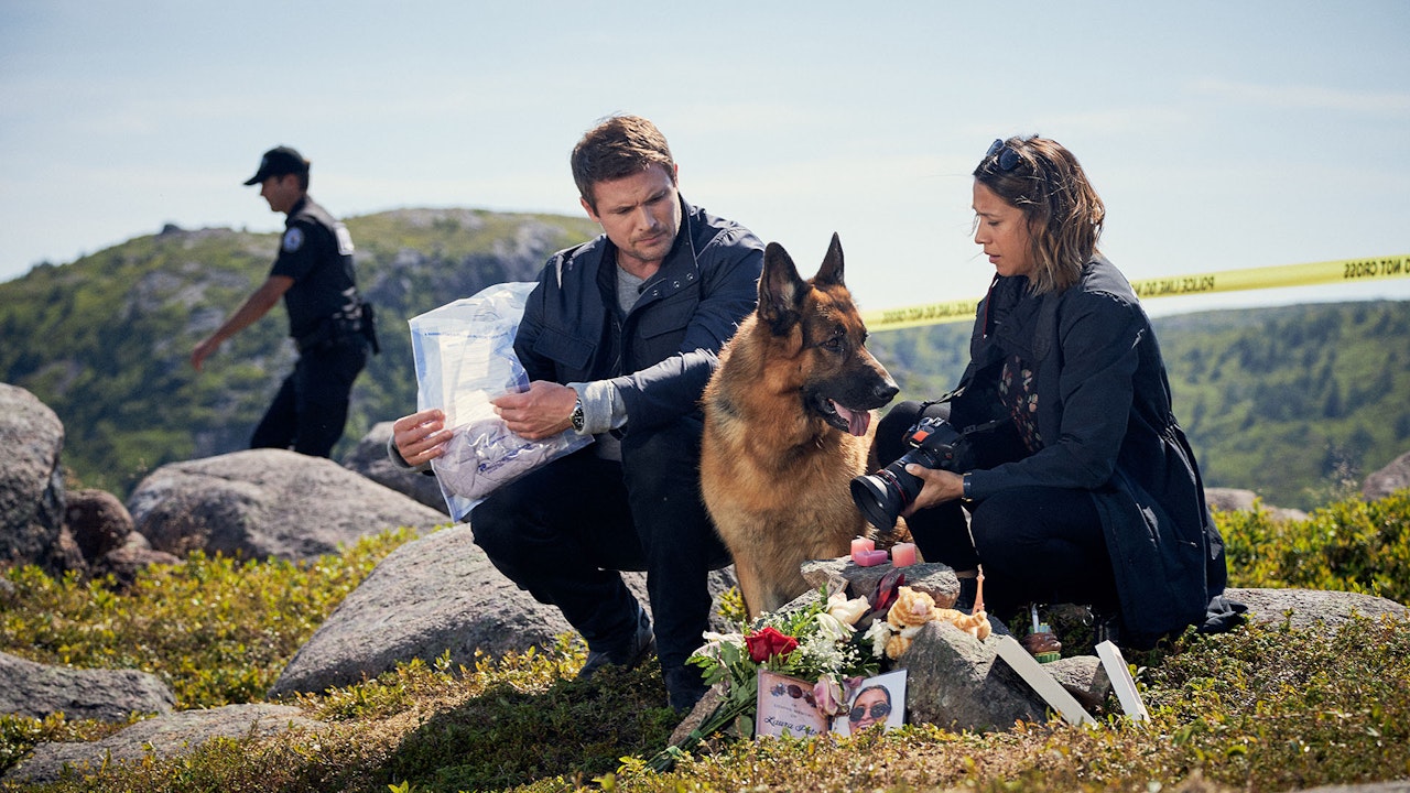 Hudson og Rex | Se afsnittet her | TV 2 Play