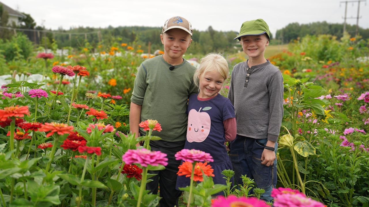 Oiii-Gården — Se serien her — TV 2 Play