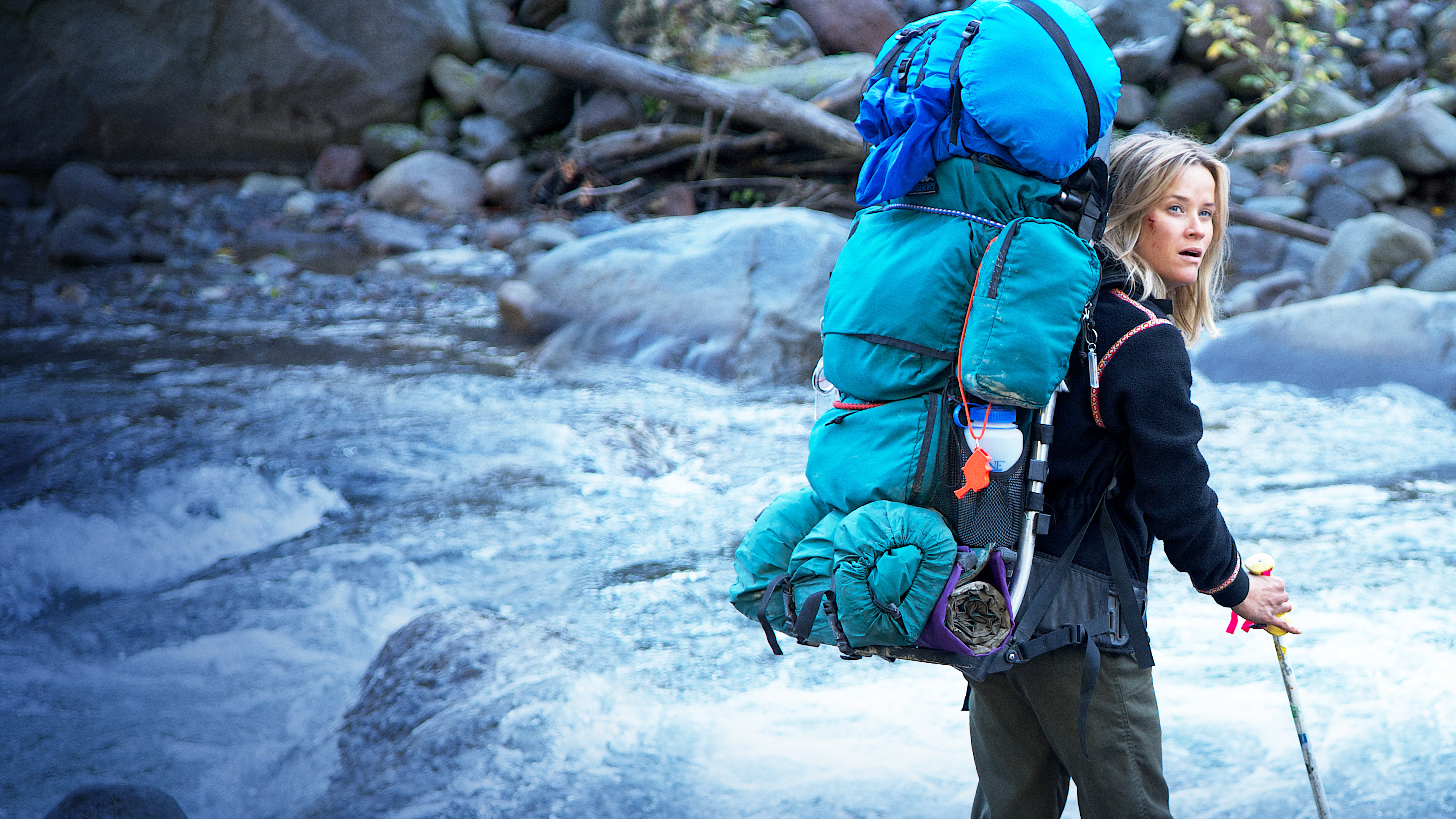 Wild | Se på Disney+ med TV 2 Play