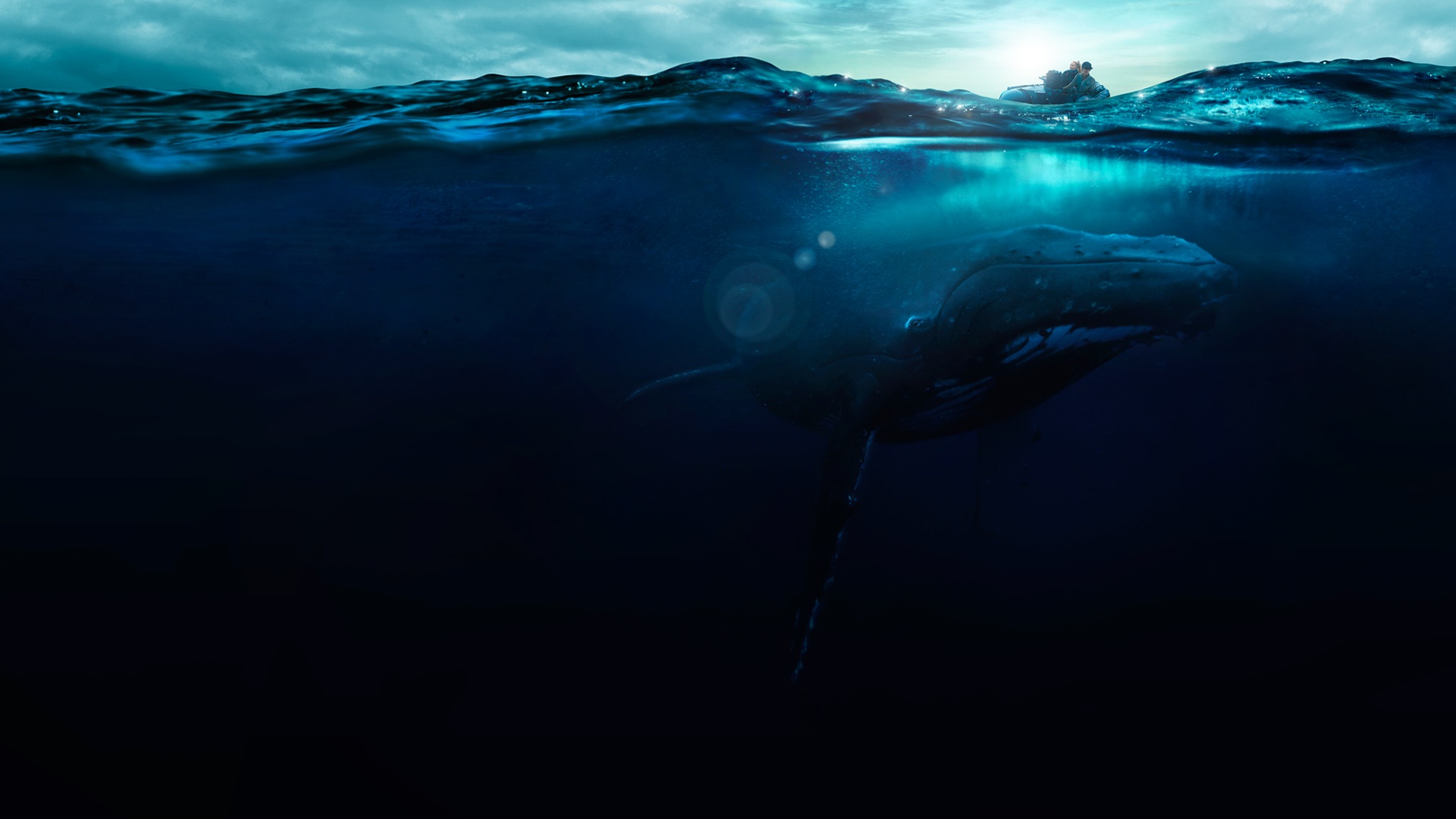 Fathom | Se på Apple TV med TV 2 Play