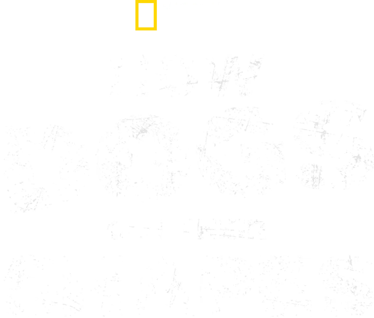How Dogs Got Their Shapes | Se på Disney+ med TV 2 Play